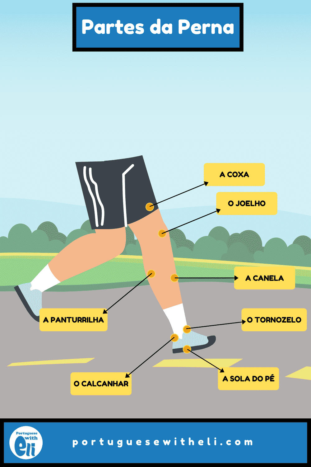 Body Parts in Portuguese — the Ugly, and the Funny - Portuguese with Eli